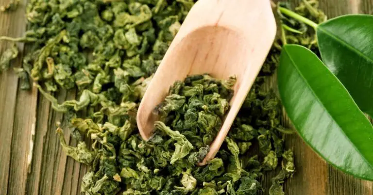 What are the benefits of Manglier tea? - Talk Leisure