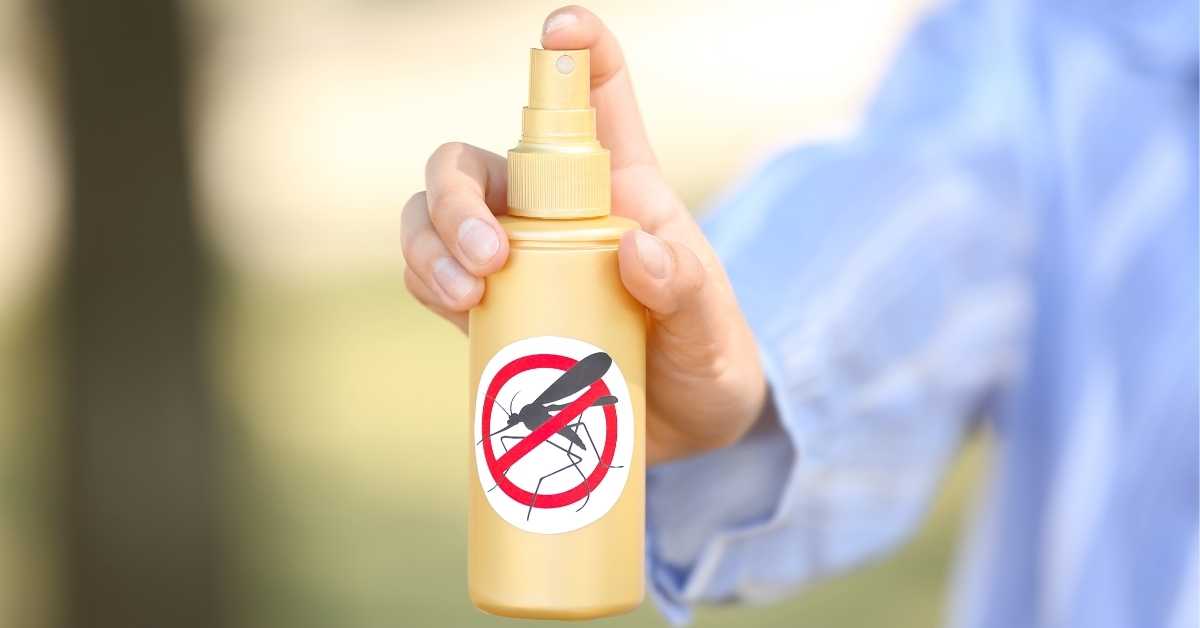 What insects does cinnamon repel? - Talk Leisure