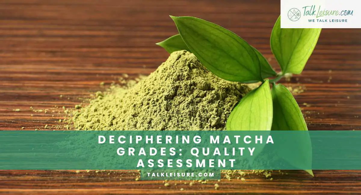 A Deep Dive into Matcha: History, Preparation, and Benefits. - Talk Leisure