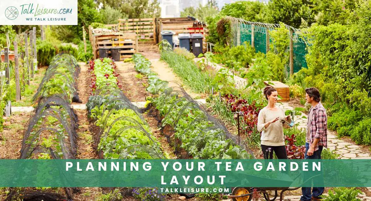 A Guide to Starting Your Own Tea Garden at Home. - Talk Leisure