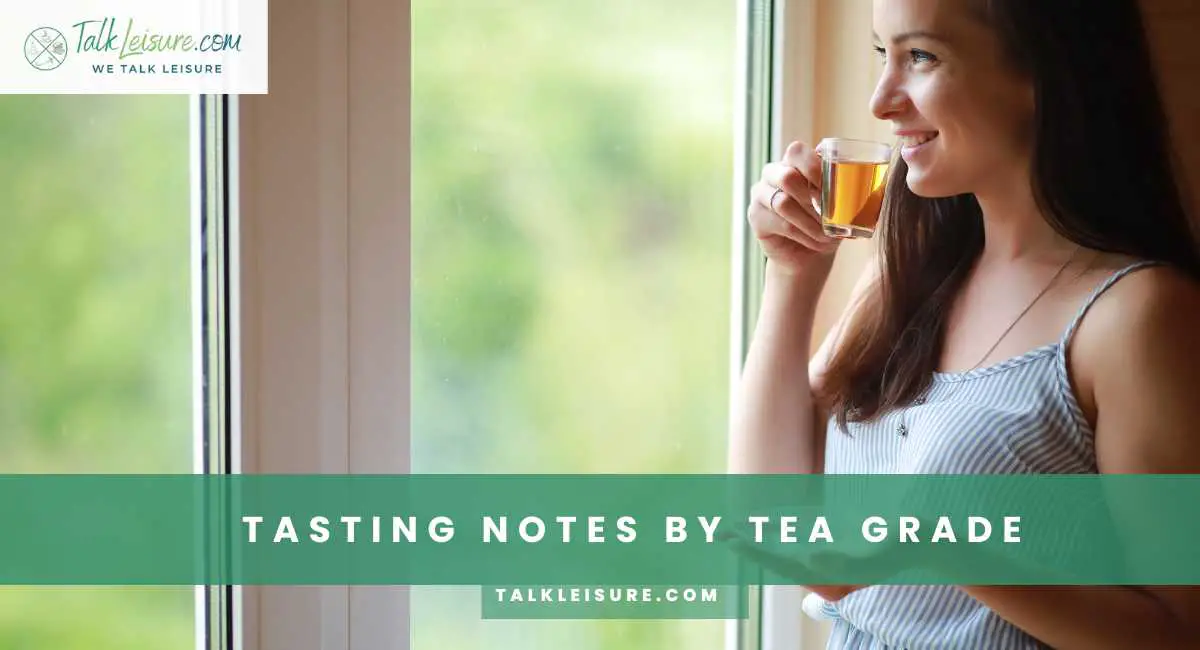 A Beginner's Guide to Understanding Tea Grades and Classifications ...