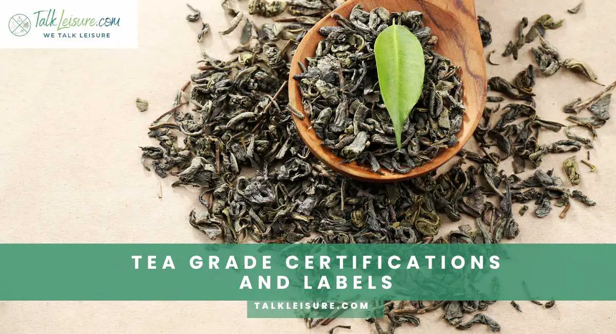A Beginner's Guide to Understanding Tea Grades and Classifications ...