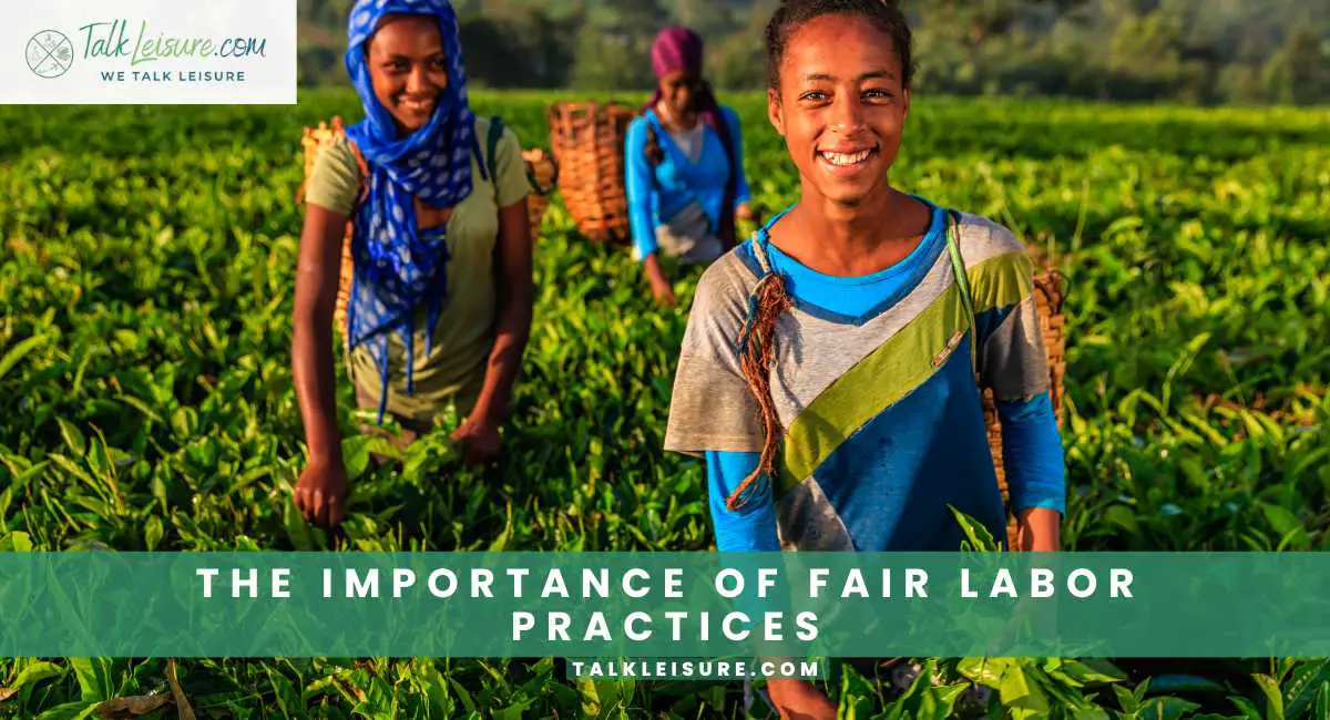 A Guide to Sustainable and Ethical Tea Sourcing and Consumption. - Talk ...